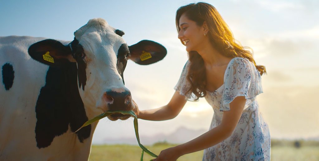 Pride of Cows - Believetrinity