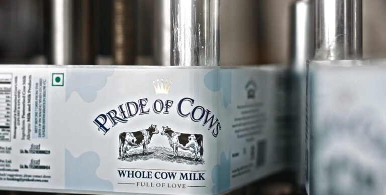 Pride of Cows - Believetrinity