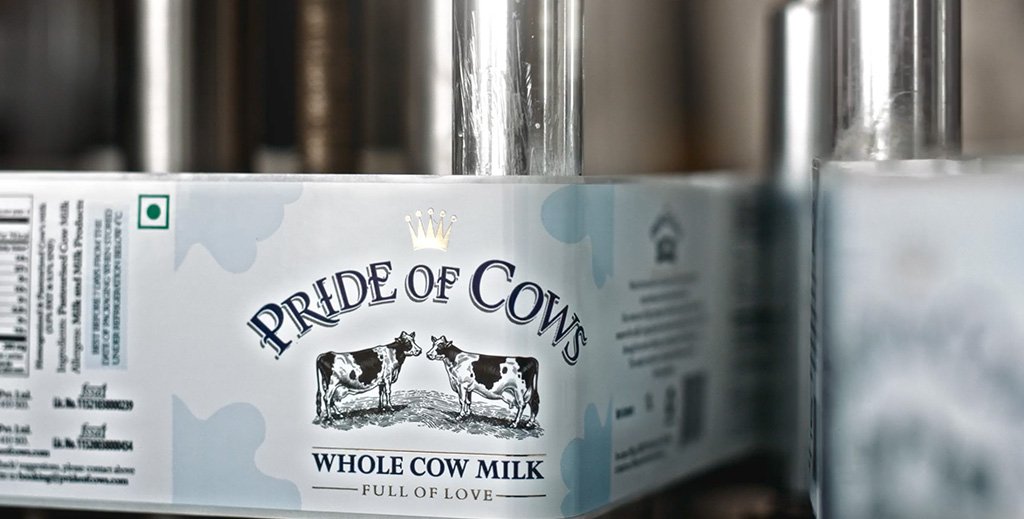 Pride of Cows - Believetrinity